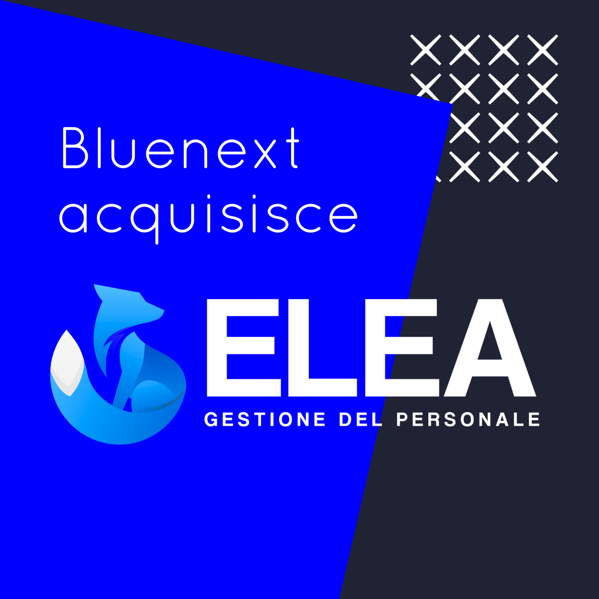Bluenext acquisisce Elea software - Bluenext